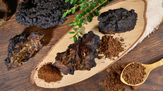 Incorporating Chaga Mushroom Into Your Lifestyle – Superfoods Australia