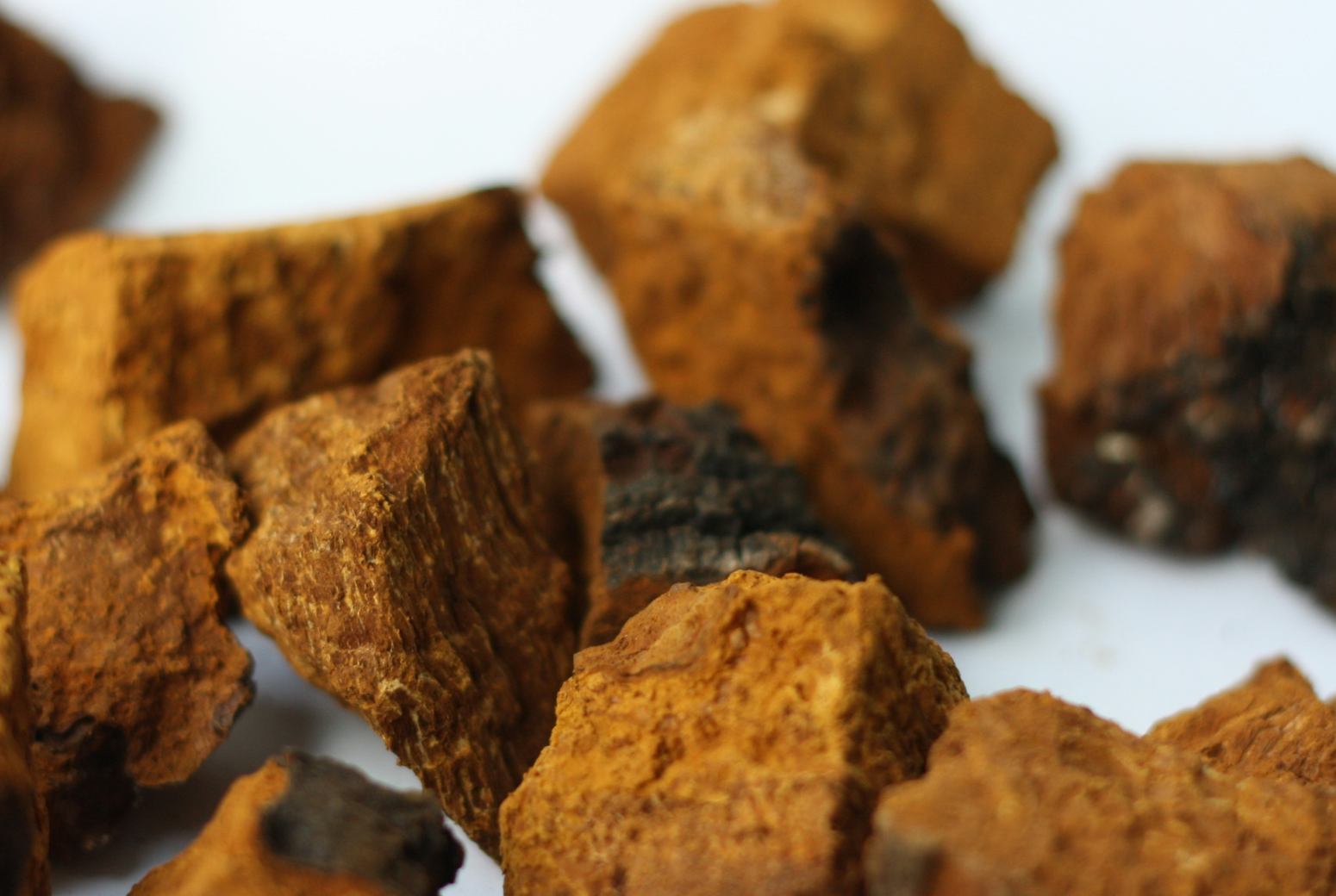 Should You Drink Chaga Tea? | Superfoods Australia