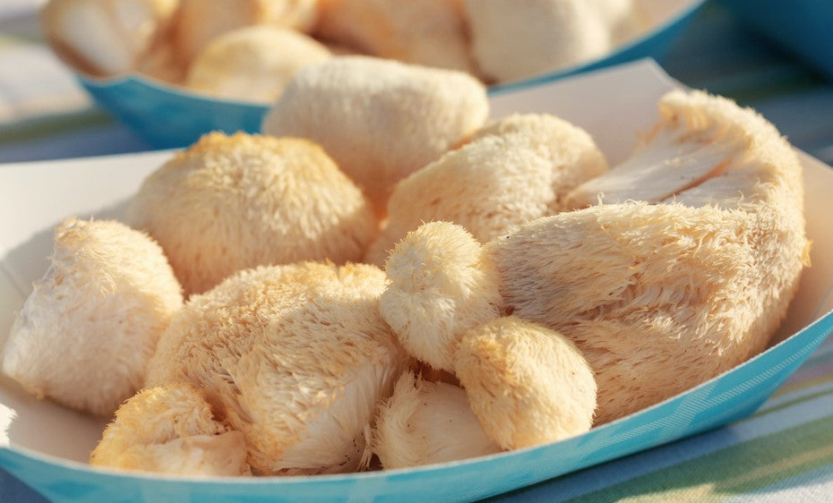 Lion’s Mane Mushroom for Sleep | Superfoods Australia