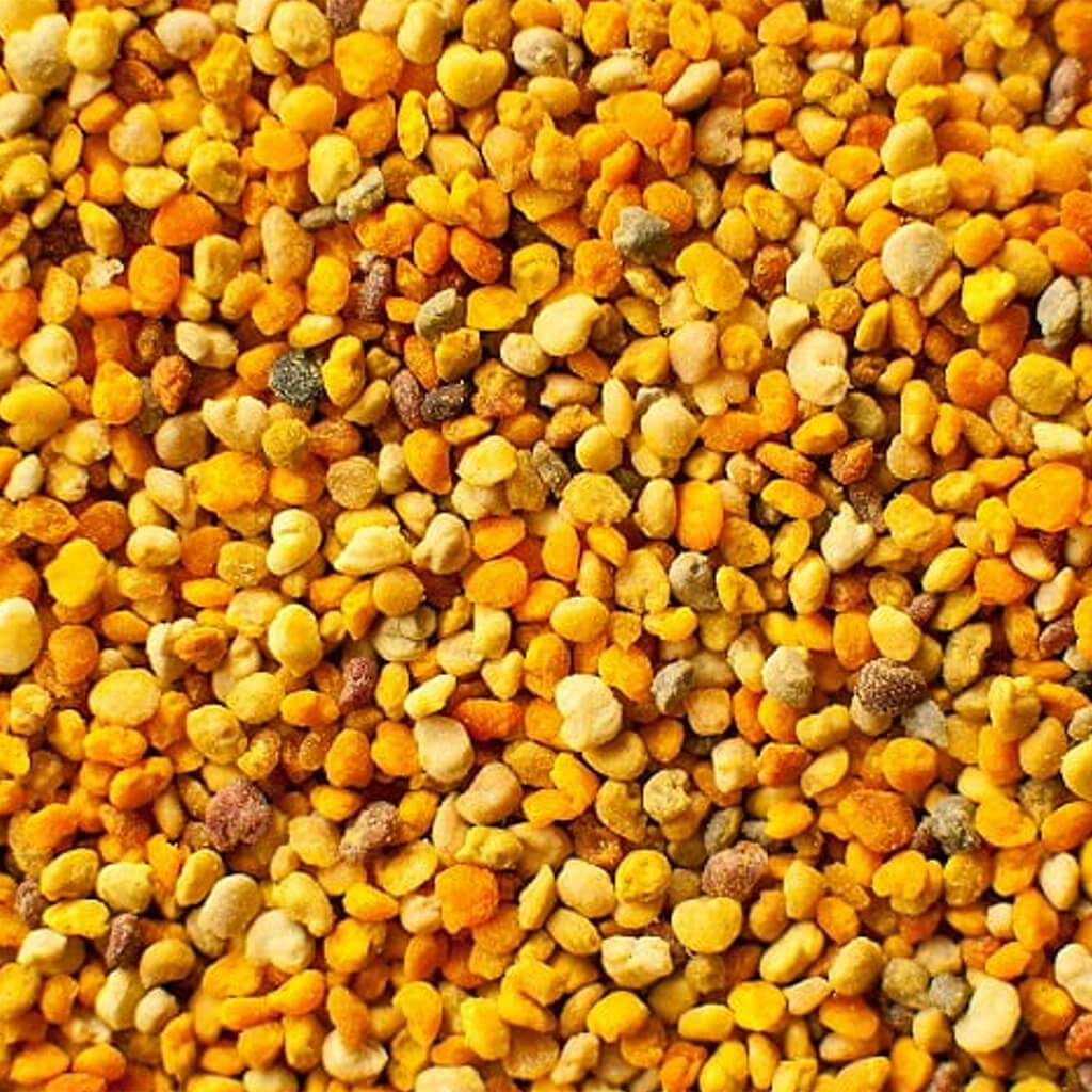 Green Tea Pollen | Camellia Sinensis | Superfoods Australia