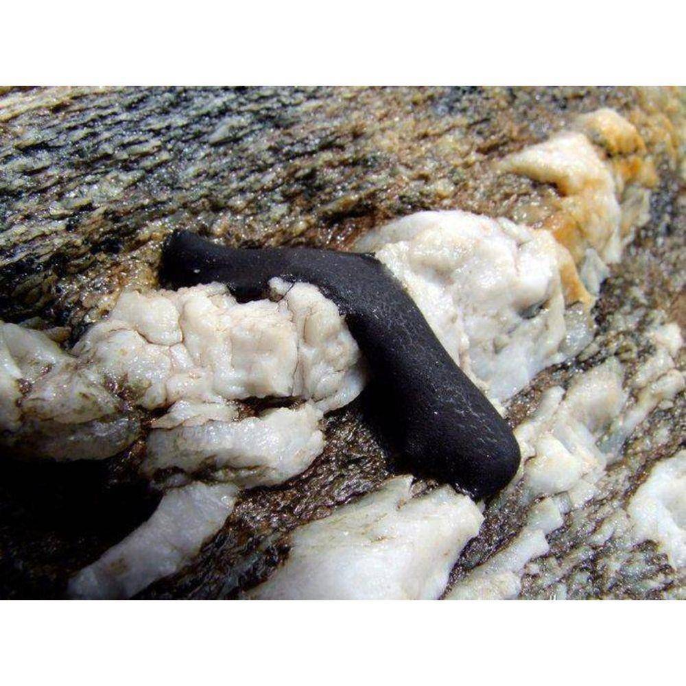 Nepalese Shilajit Resin Oil | Himalayan Fulvic Acid & Trace Minerals ...